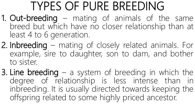 Animal Breeding