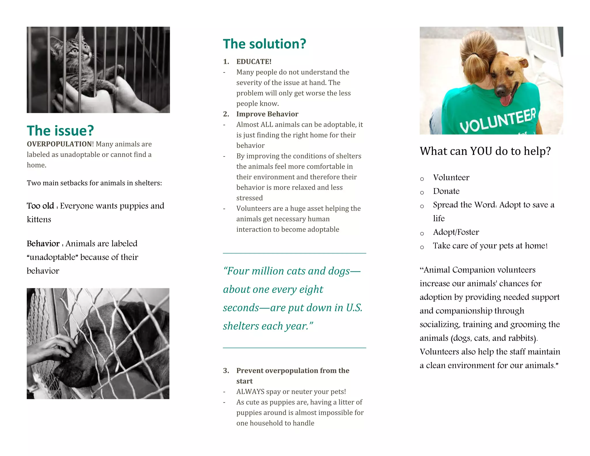 Homeless Animal Brochure | PDF