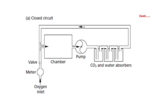 Indirect Calorimetry