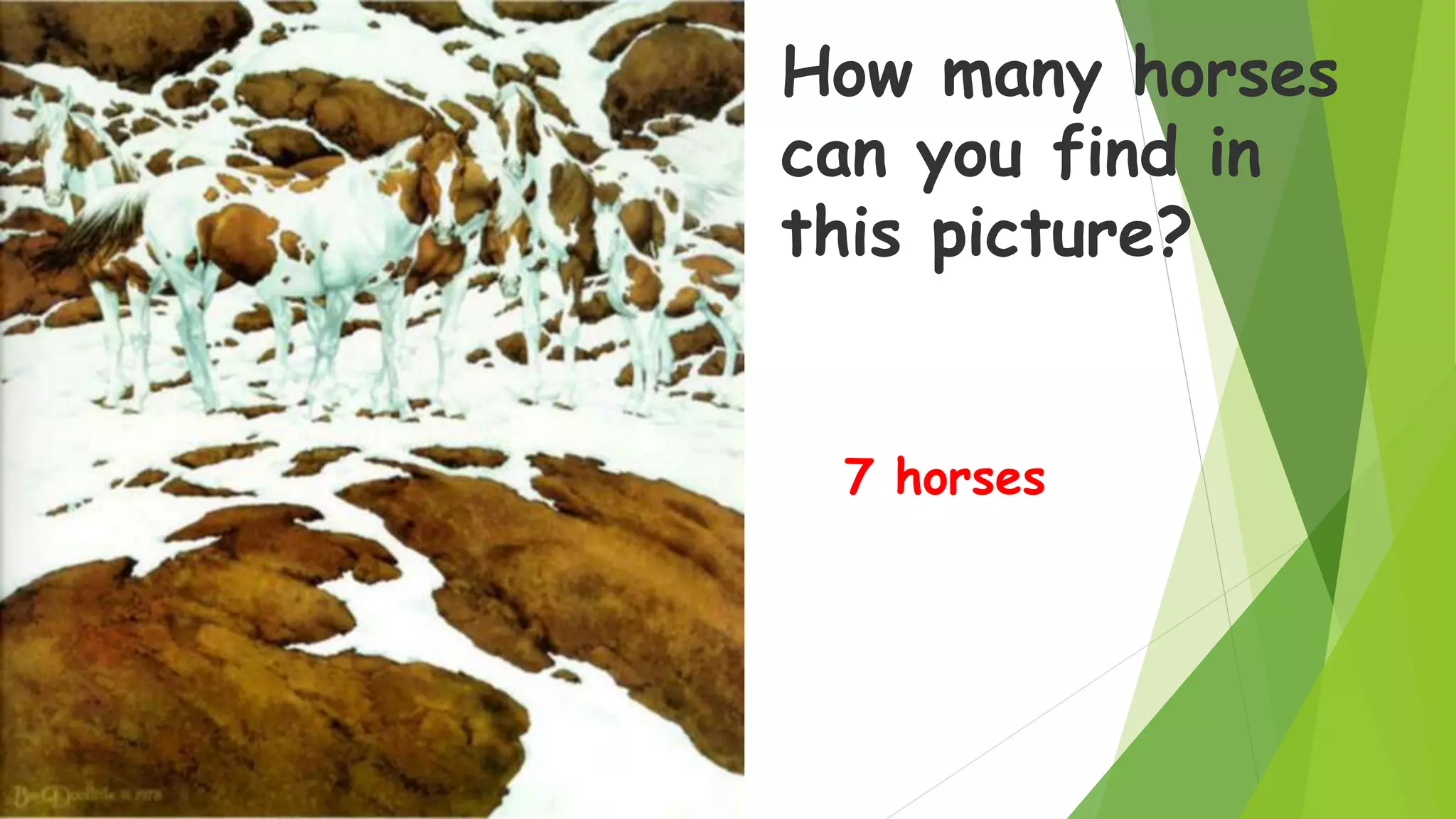 Animal camouflage | PPTX