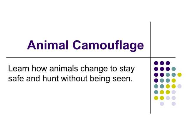Animal camouflage (2) | PPTX