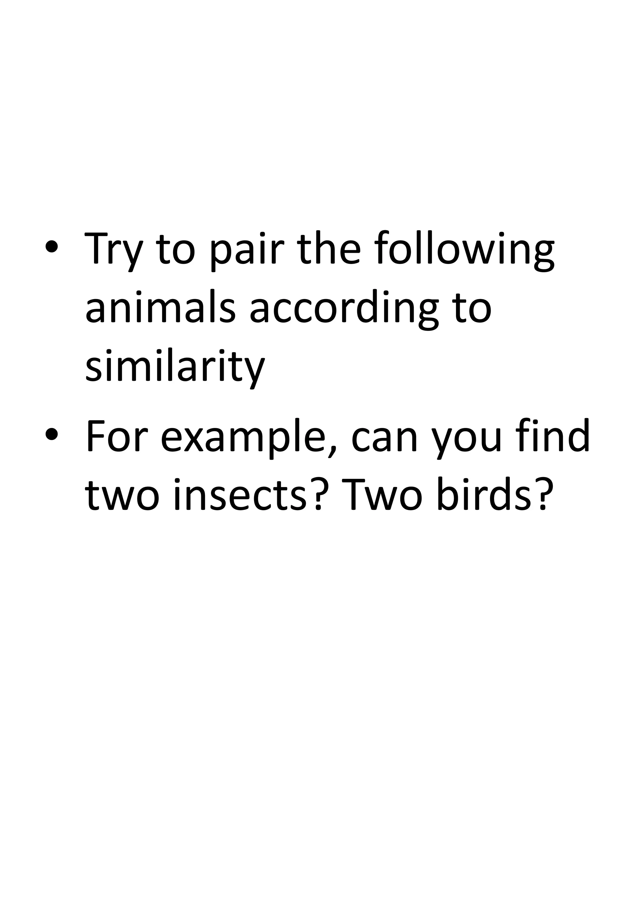 Animal Classification Pairs Activity | PPTX