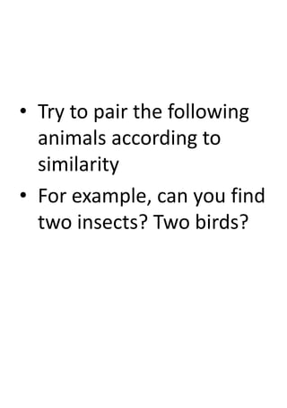 Animal Classification Pairs Activity | PDF