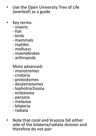 Animal Classification Pairs Activity | PPTX