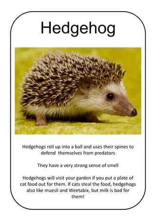 Animal Classification Pairs Activity | PDF