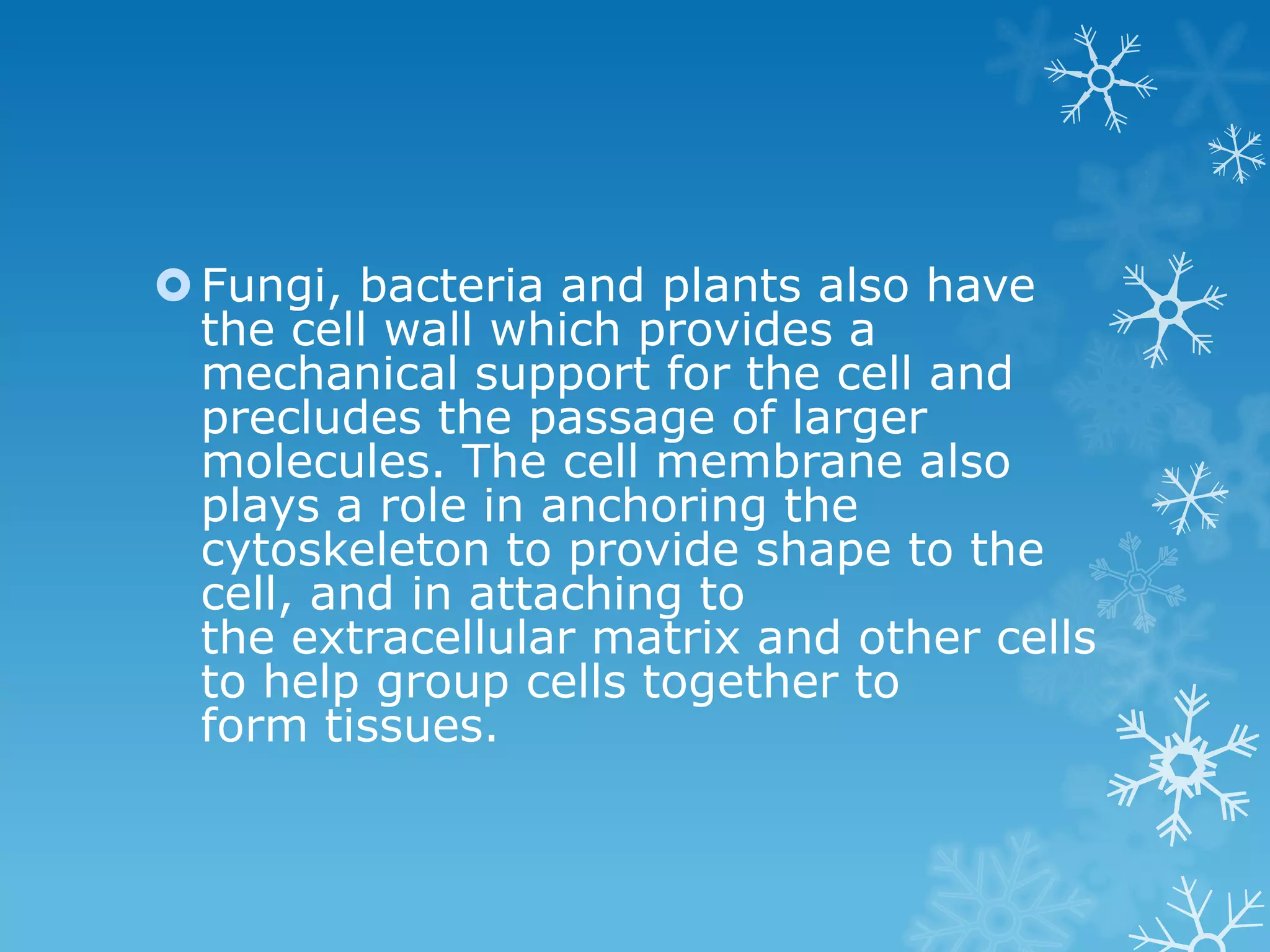 Animal cell | PPTX