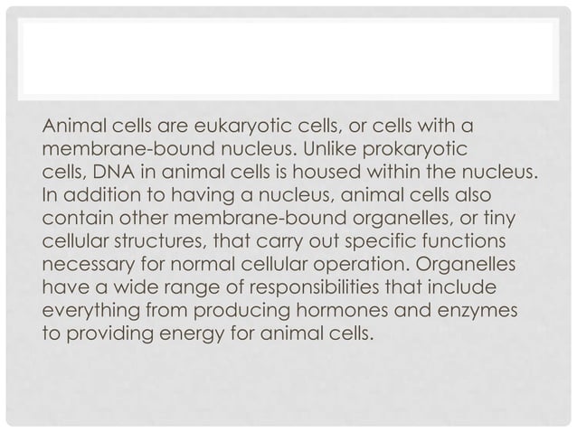 Animal cell | PPTX