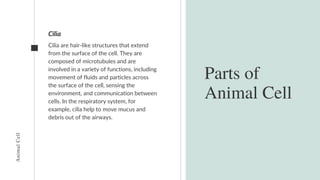 AnimalCell.pptx