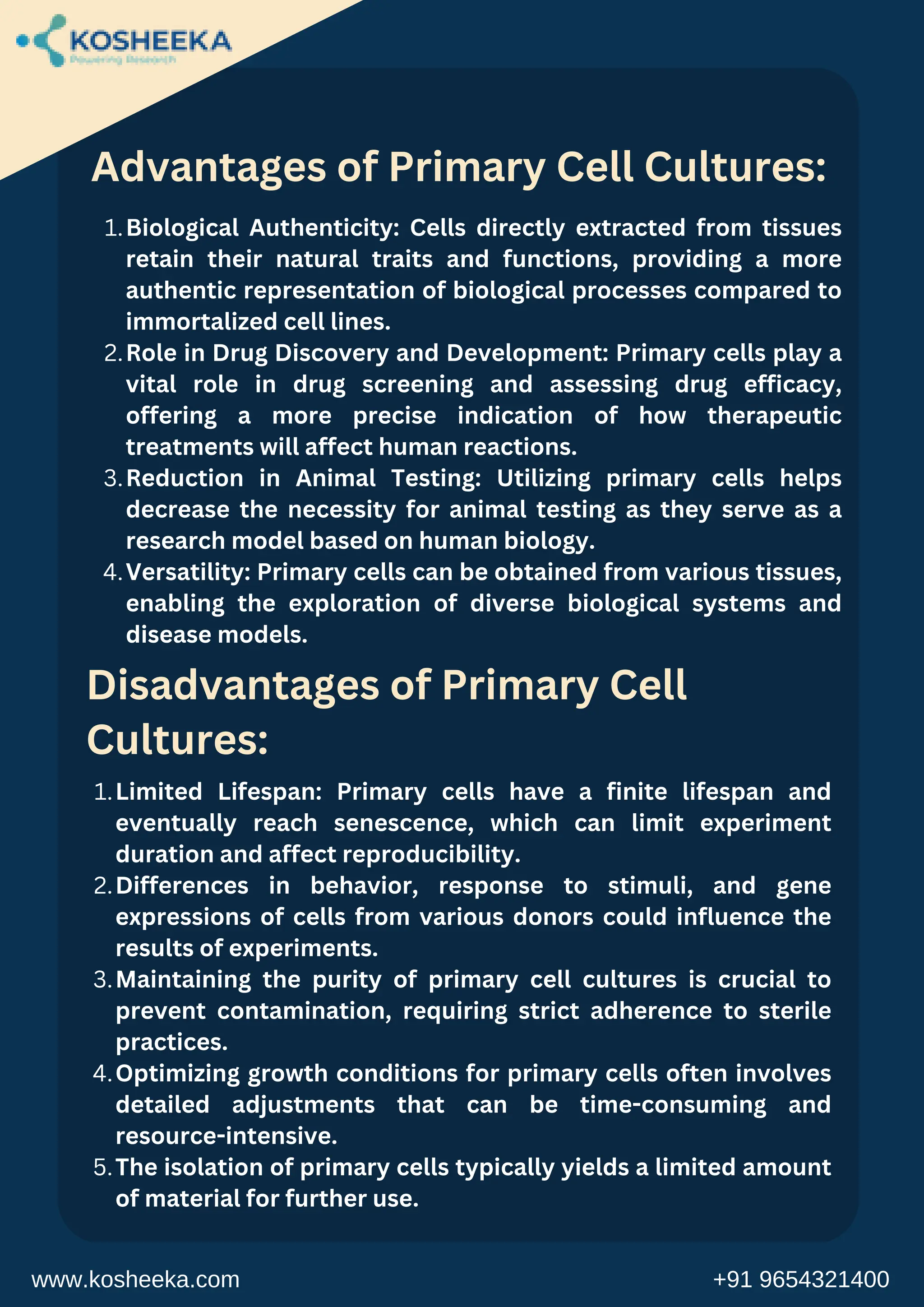 Primary Cell Culture Advantages and Disadvantages: Navigating the Challenges | PDF | Biotech and ...