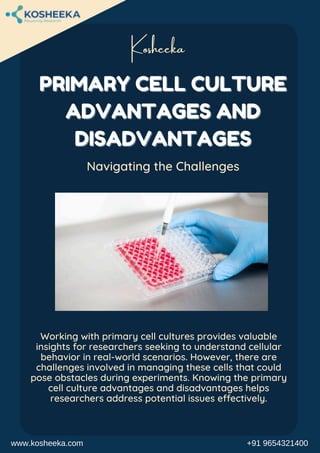 Primary Cell Culture Advantages and Disadvantages: Navigating the Challenges | PDF | Biotech and ...
