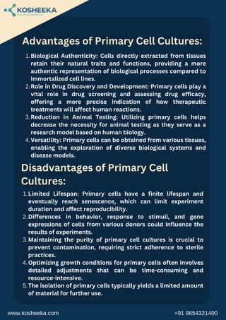 Primary Cell Culture Advantages and Disadvantages: Navigating the ...