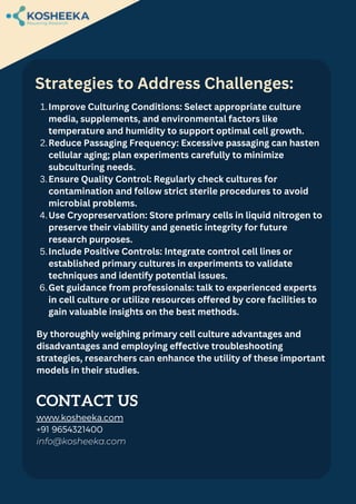 Primary Cell Culture Advantages and Disadvantages: Navigating the Challenges | PDF | Biotech and ...