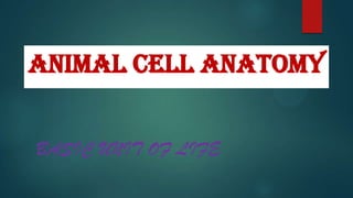 Animal cell anatomy power point | PPTX