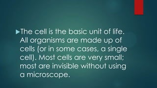 Animal cell anatomy power point | PPTX