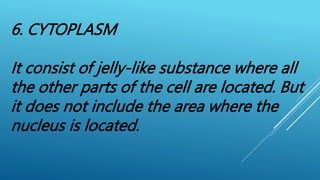 ANIMAL CELL AND PLANT CELL.pptx