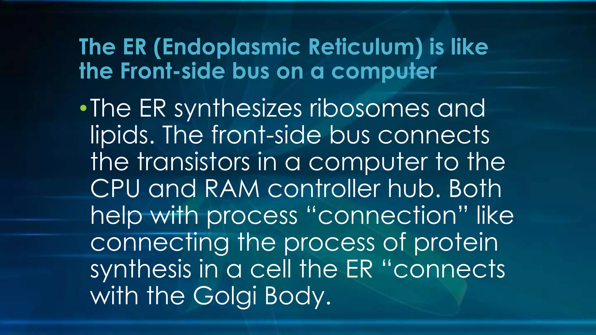 Animal Cell Analogy | PPTX