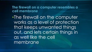 Animal Cell Analogy | PPTX