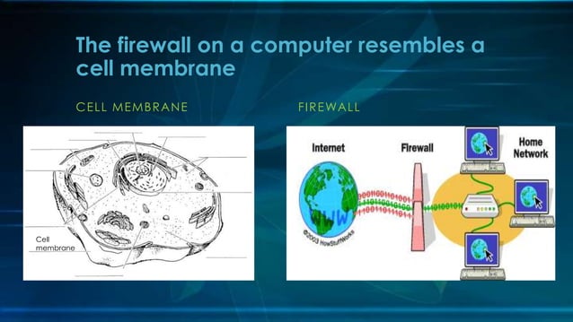 Animal Cell Analogy | PPTX | Computer Peripherals | Computing