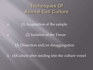Animal cell culture & its technique & cyropreservation: A review | PPTX