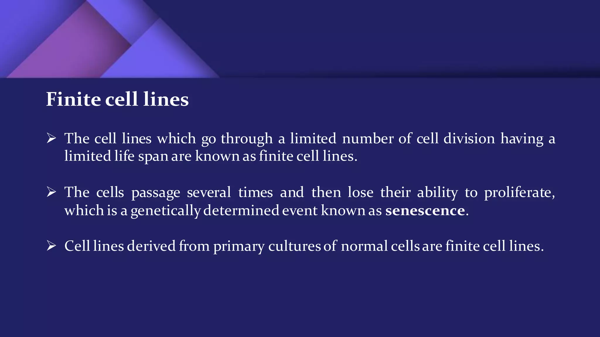 Animal cell culture (Basics) | PDF