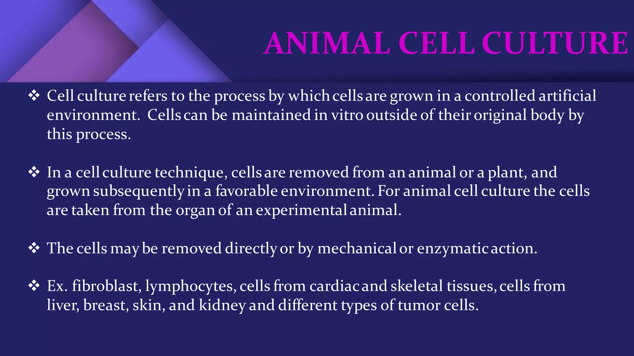 Animal cell culture (Basics) | PDF