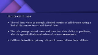 Animal cell culture (Basics) | PDF