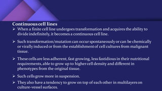 Animal cell culture (Basics) | PDF
