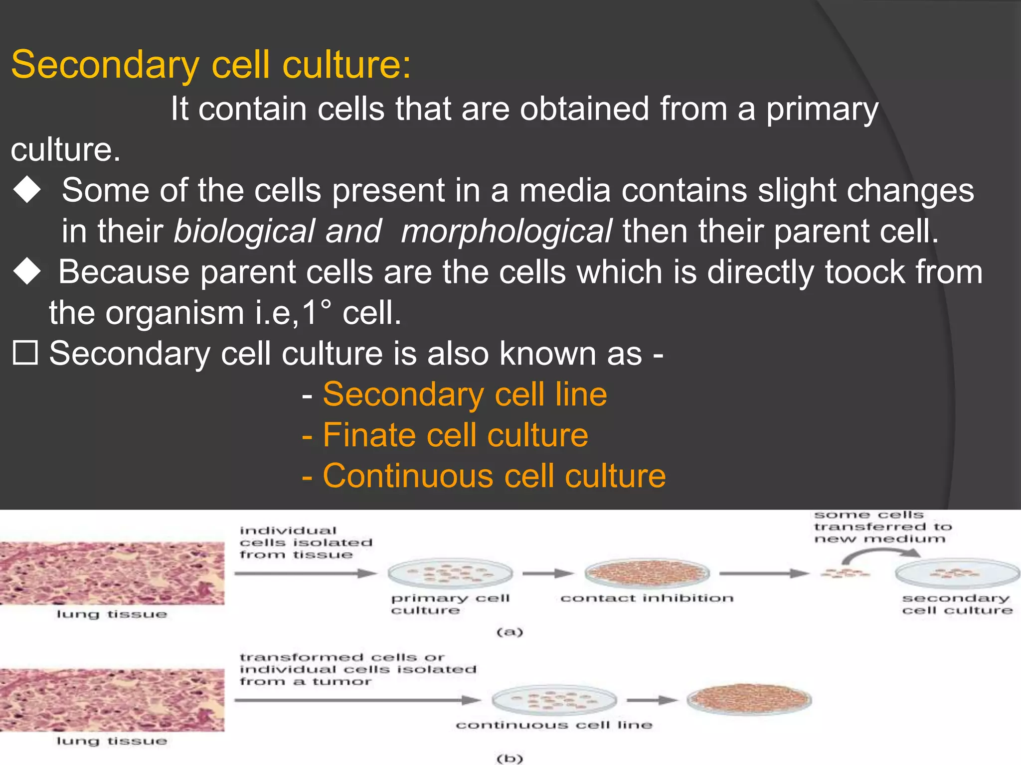 Animal cell culture | PPTX