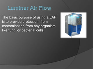 Animal cell culture | PPTX