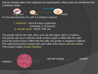 Animal cell culture | PPTX