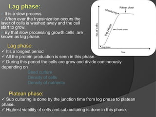 Animal cell culture | PPTX