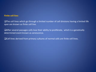 Animal cell culture | PPTX