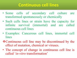 animalcellculture-191120055700.pdf