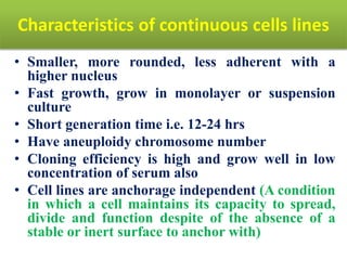 animalcellculture-191120055700.pdf