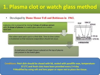 animalcellculture-191120055700.pdf