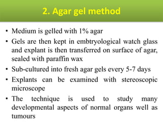 animalcellculture-191120055700.pdf