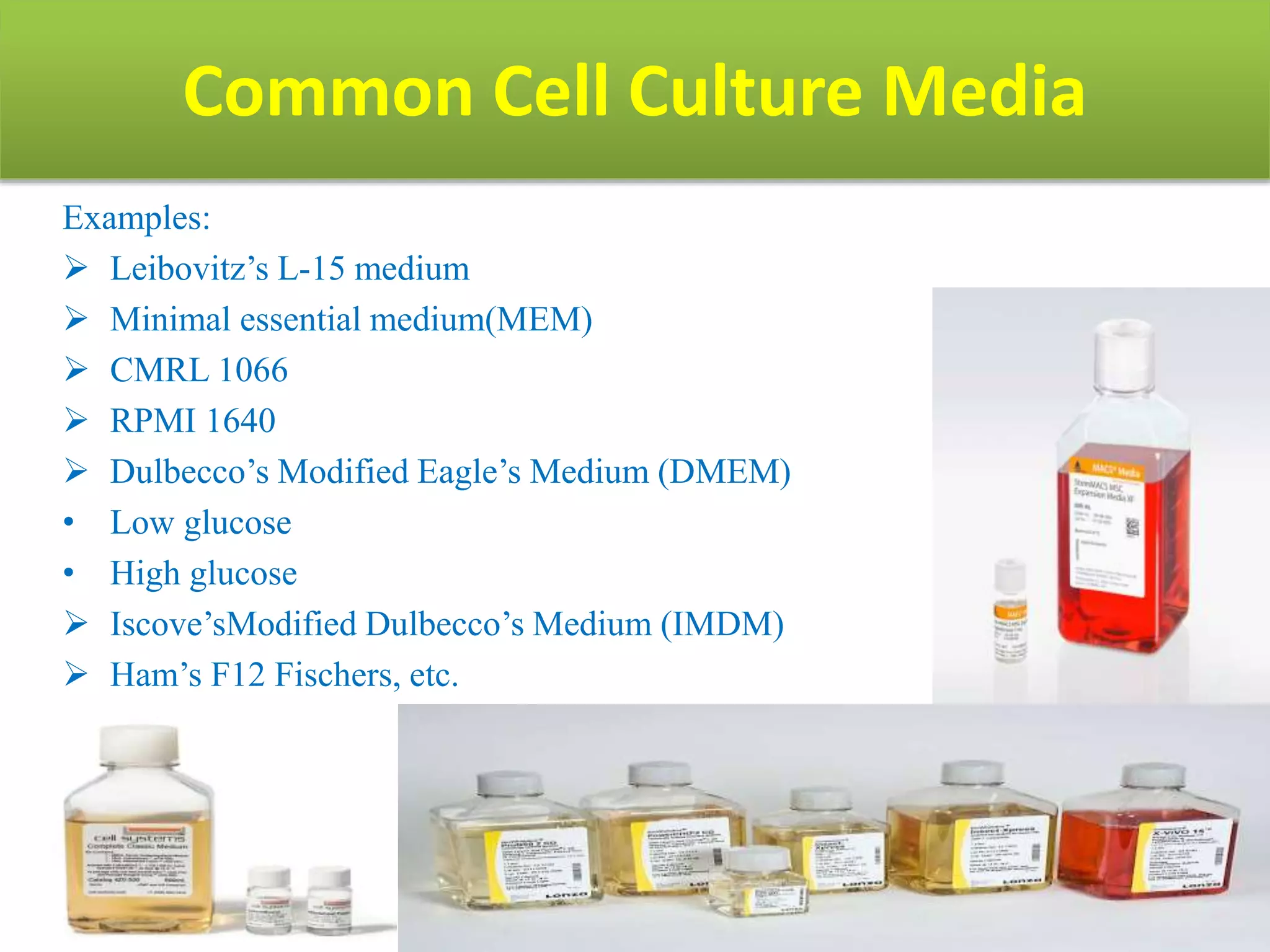 Animal cell culture | PPTX
