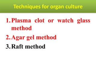 Animal cell culture | PPTX