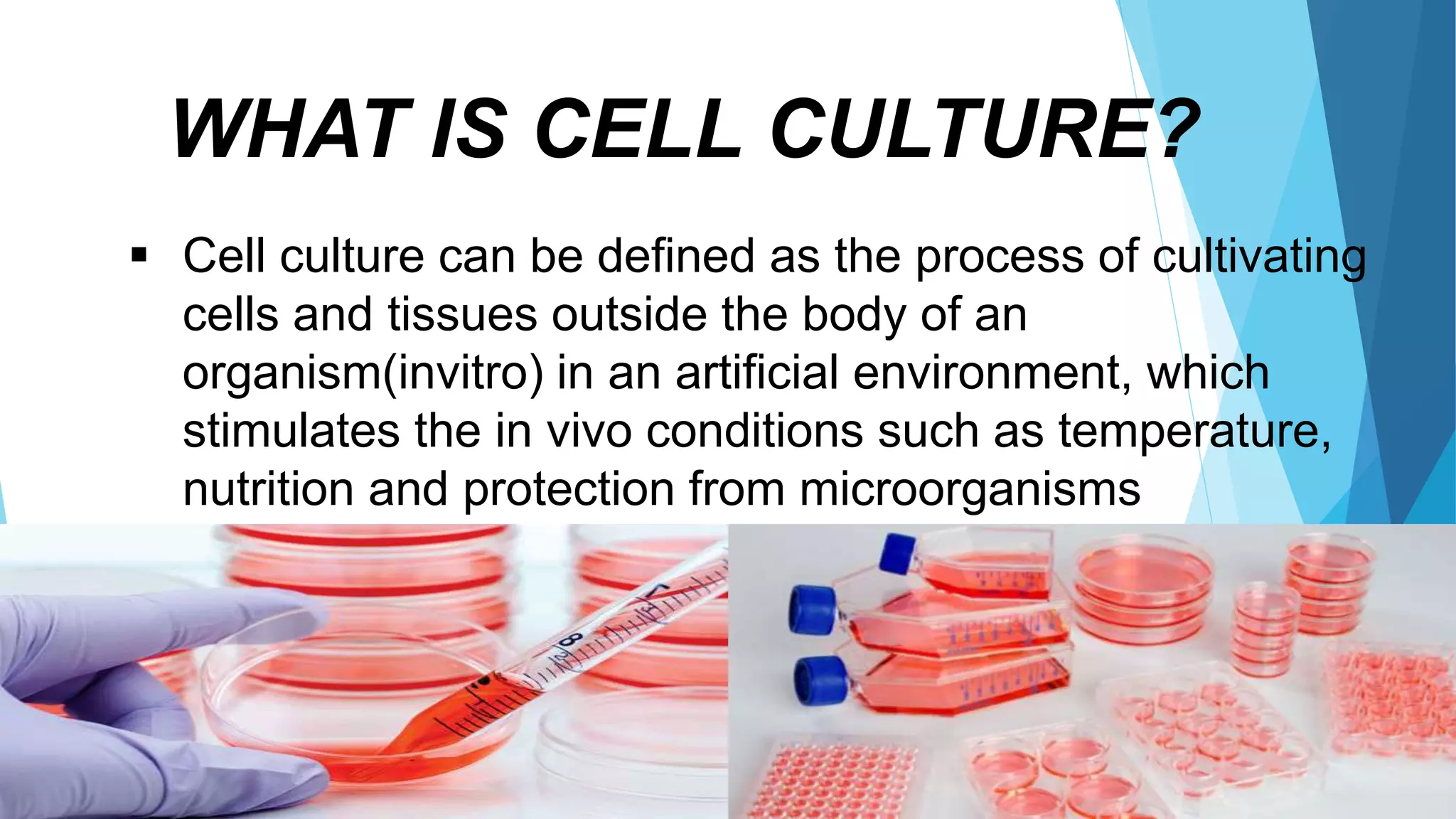 Animal cell culture | PPTX