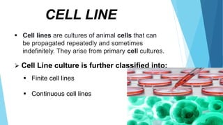 Animal cell culture | PPTX