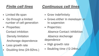 Animal cell culture | PPTX