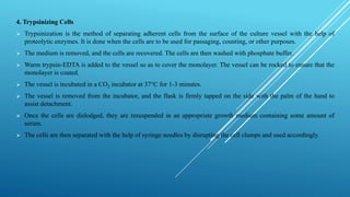 Animal Cell Culture.pptx