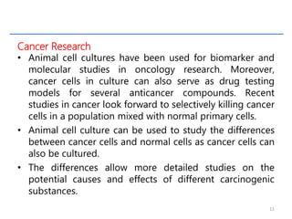 Animal Cell Culture.pptx