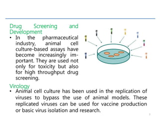 Animal Cell Culture.pptx