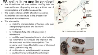 Animal cell culture.pptx