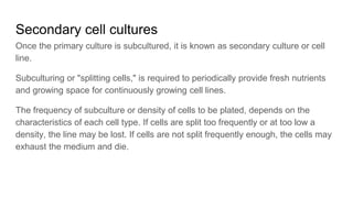 Animal cell culture.pptx