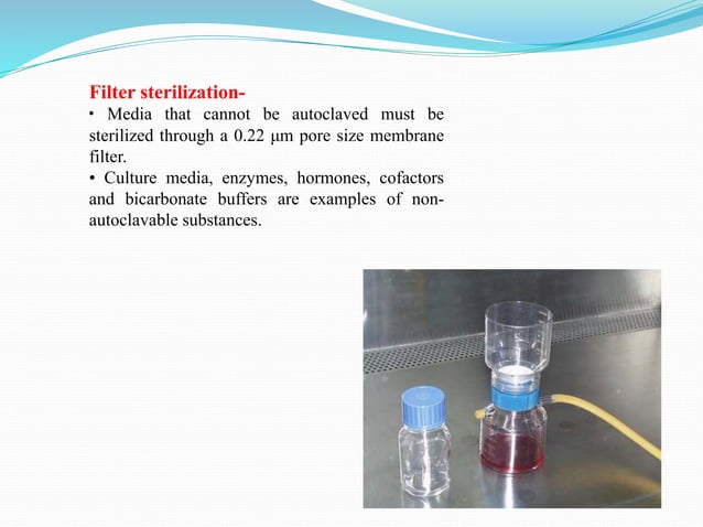 Animal cell culture introduction and equipments | PDF | Lung and ...