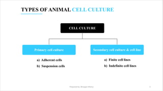 Animal Cell Culture.pdf