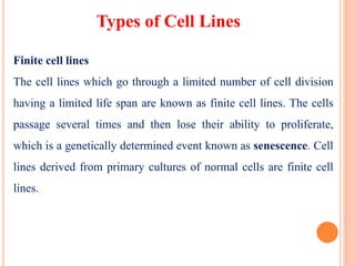 Animal Cell Culture_Basics in Animal Biotechnology.ppt