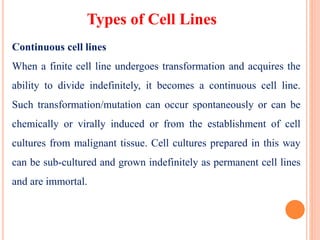 Animal Cell Culture_Basics in Animal Biotechnology.ppt